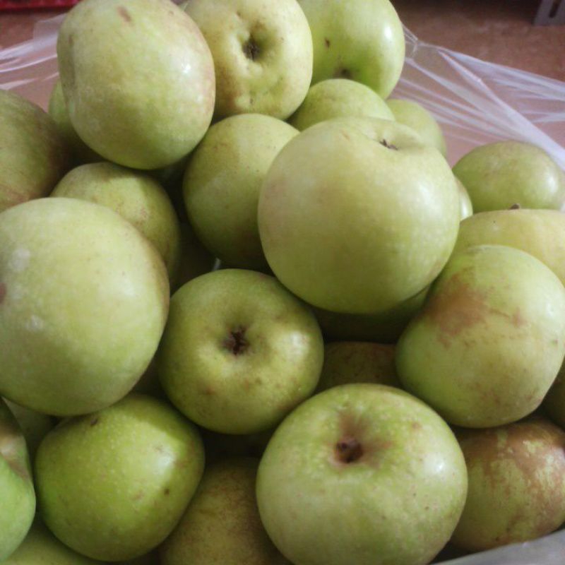 Jual APEL MANALAGI BATU MALANG 1 KG ISI 10-20 BUAH FRESH / SEGAR ...