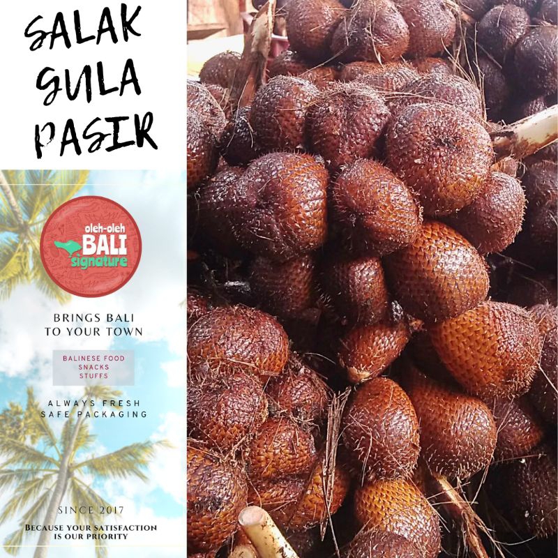 Jual Salak Bali / Salak Gula Pasir (FRESH) | Shopee Indonesia
