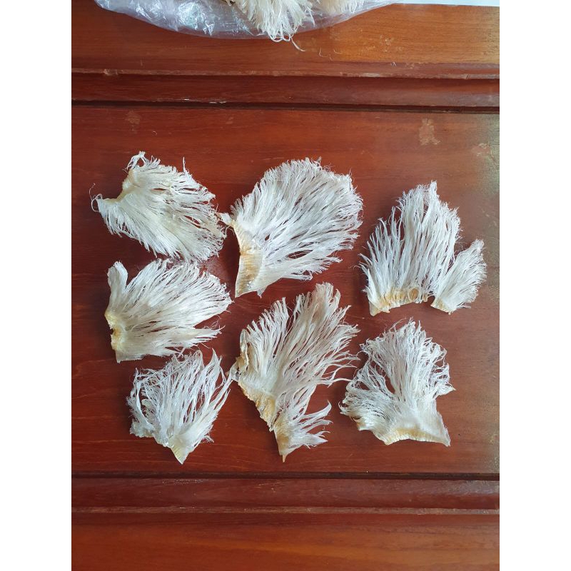 Jual Hisit Slice Kering / Shark Fin / Sirip Ikan Hiu 100 gr | Shopee ...