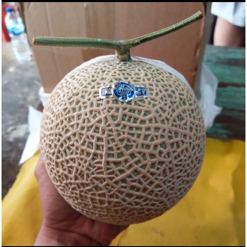 Jual Melon crown japan/ melon super manis crown jepang original 1,6 kg ...