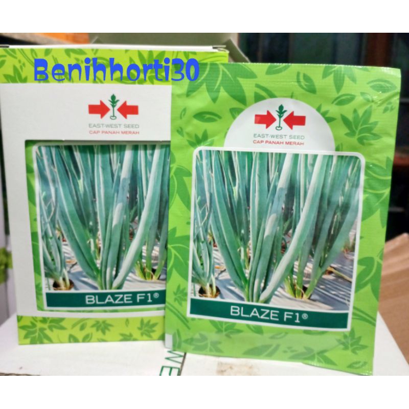 Jual Benih Daun Bawang Blaze F1 isi 10 gram | Shopee Indonesia