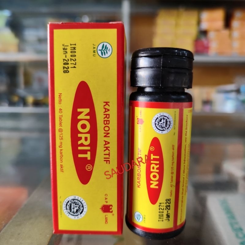 Jual NORIT Karbon Aktif isi 40 Tablet - Obat diare | Shopee Indonesia