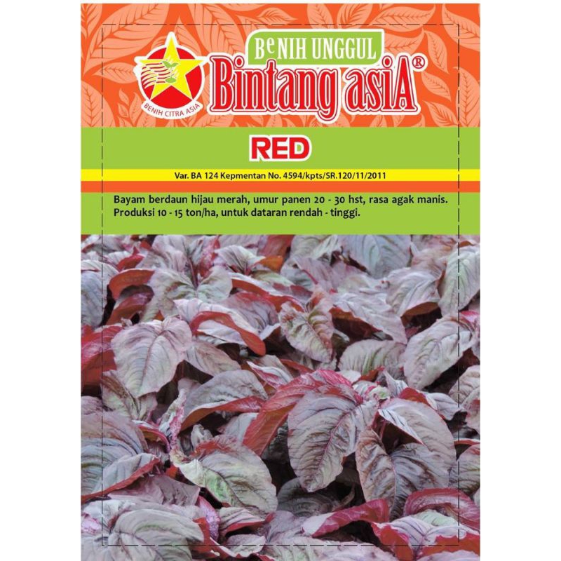 Jual Benih-Bibit Bayam berdaun hijau merah Red (Bintang Asia) | Shopee ...