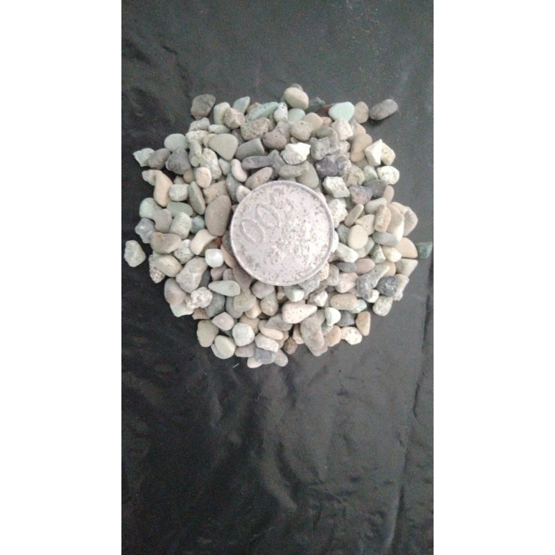 Jual Batu Alam Putih Koral Putih 1KG batu taman hiasan tanaman pot ...