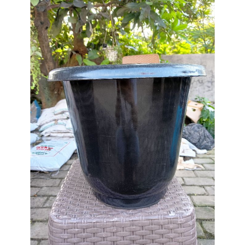 Jual Pot Bunga Tanaman Palem 30/Pot Bunga Kuping GL Palem Ukuran 30 ...