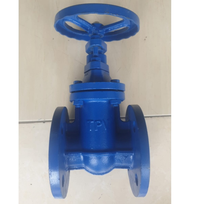 Jual TPV Gate valve 2" inch Cast Iron | Gate valve Besi 10k 2 inch DN ...
