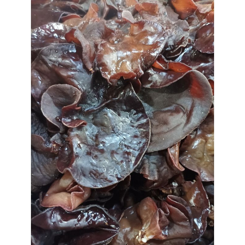 Jual Jamur kuping / Lember segar bandung | Shopee Indonesia