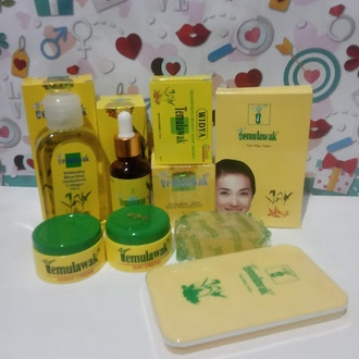 Jual Krim temulawak ori / Cream Temulawak Original Malaysia / paket ...