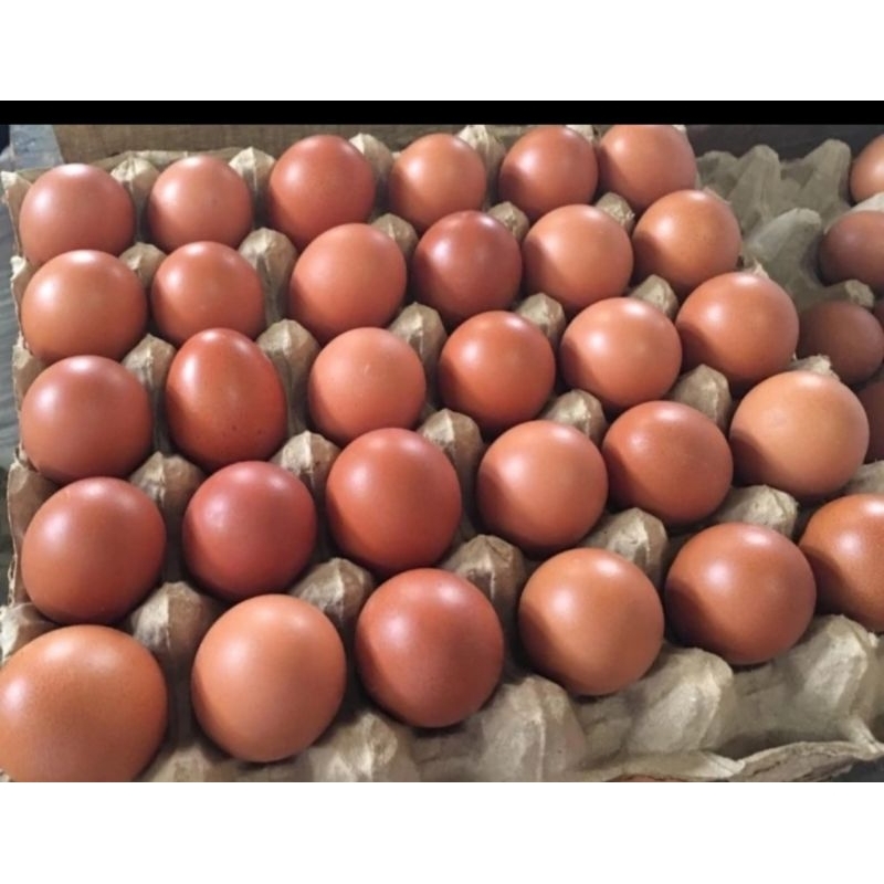 Jual Telur Ayam Ras (1 Piring isi 30 pcs Jumbo) | Shopee Indonesia