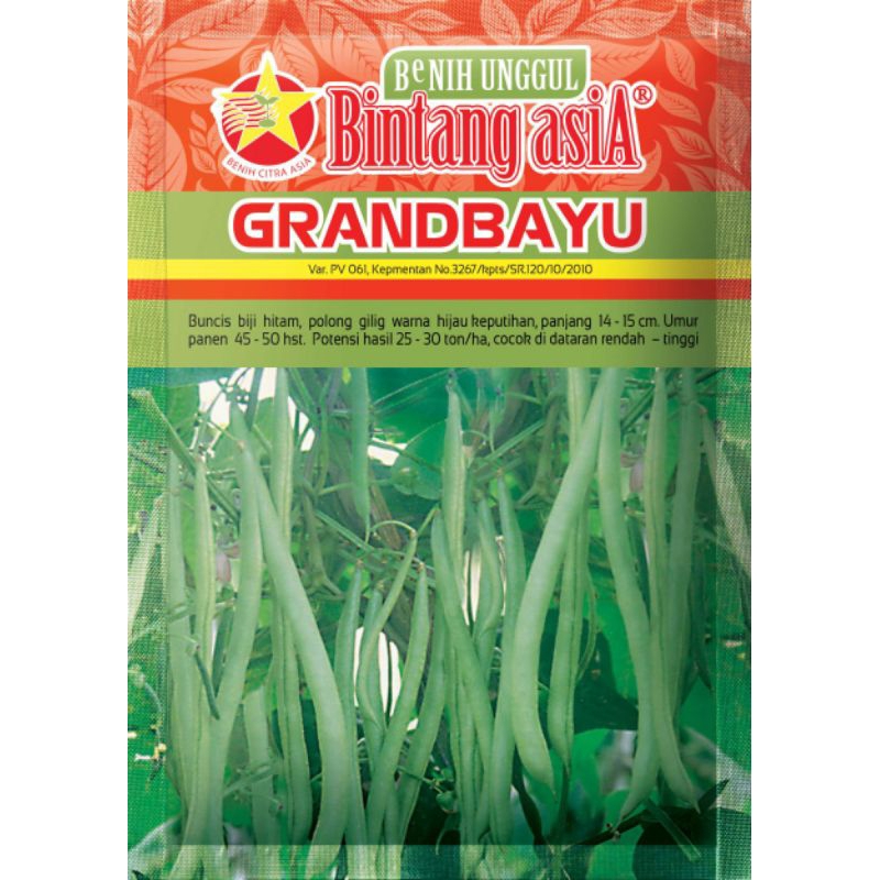 Jual Benih-Bibit Buncis biji hitam Grandbayu (Bintang Asia) | Shopee ...