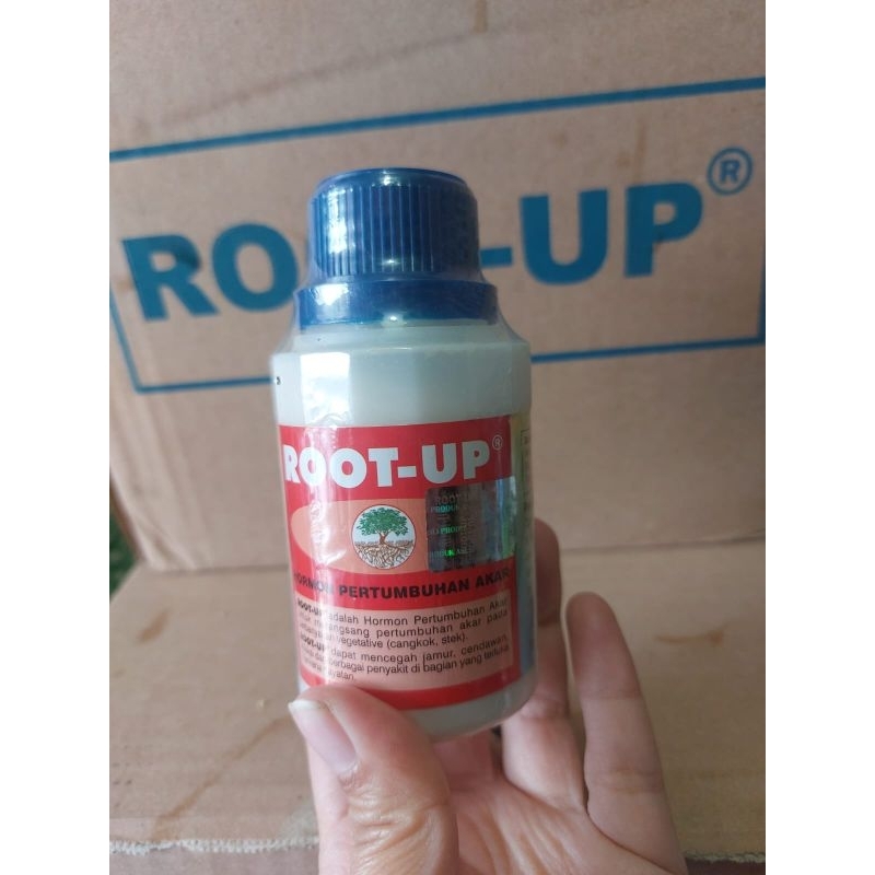 Jual ROOT UP original pupuk perangsang akar hormon pertumbuhan akar ...
