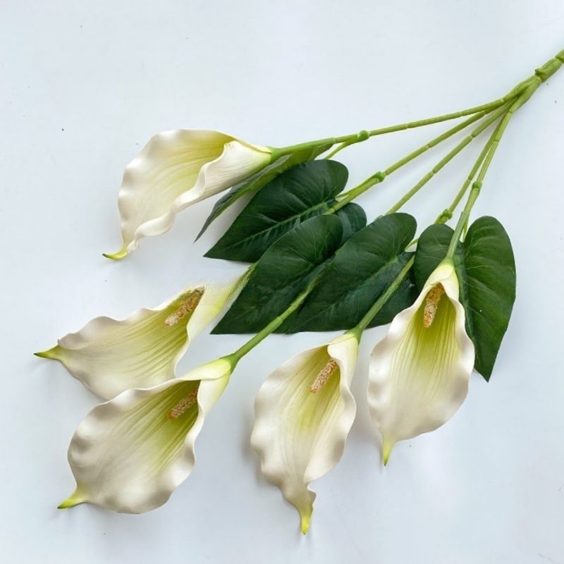 Jual Bunga Calla Lily LATEX Premium | Shopee Indonesia