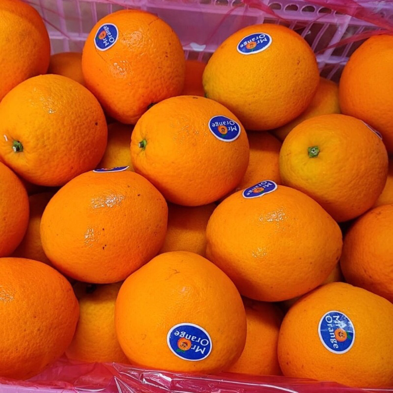 Jual Jeruk Sunkist Navel Mr.Orange Per Kg | Shopee Indonesia
