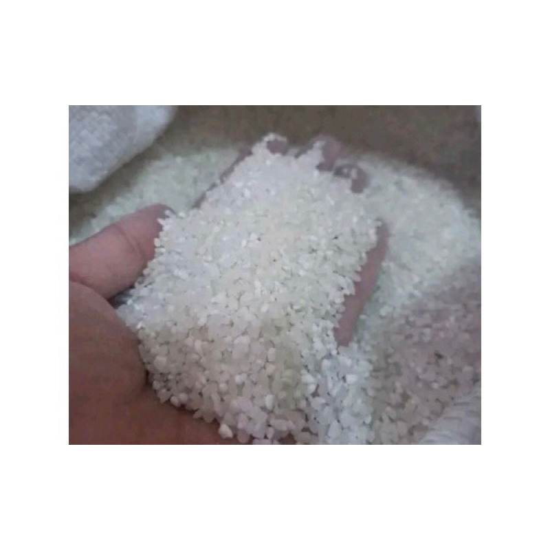 Jual Menir Beras Pecah Makanan Ayam Kecil 1 Kg | Shopee Indonesia