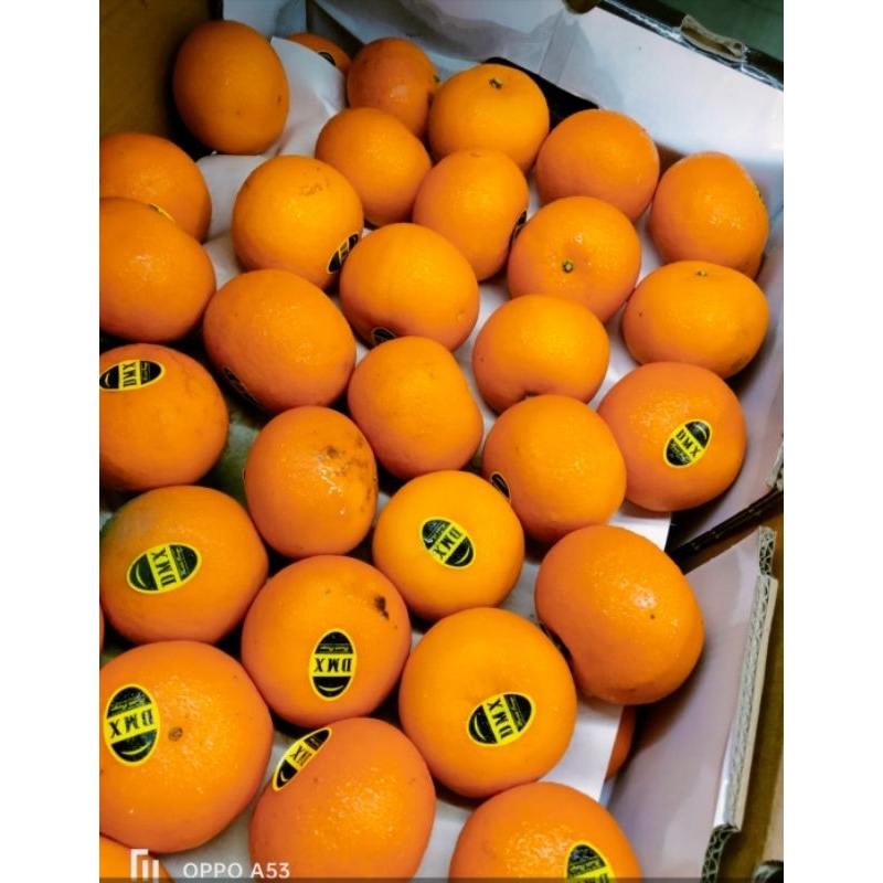 Jual JERUK MANDARIN SWEET WOKAM / WOGAN 500 GRAM - 1 KG | Shopee Indonesia