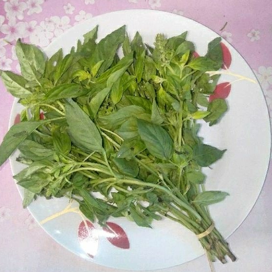 Jual Daun kemangi segar perikat | Shopee Indonesia