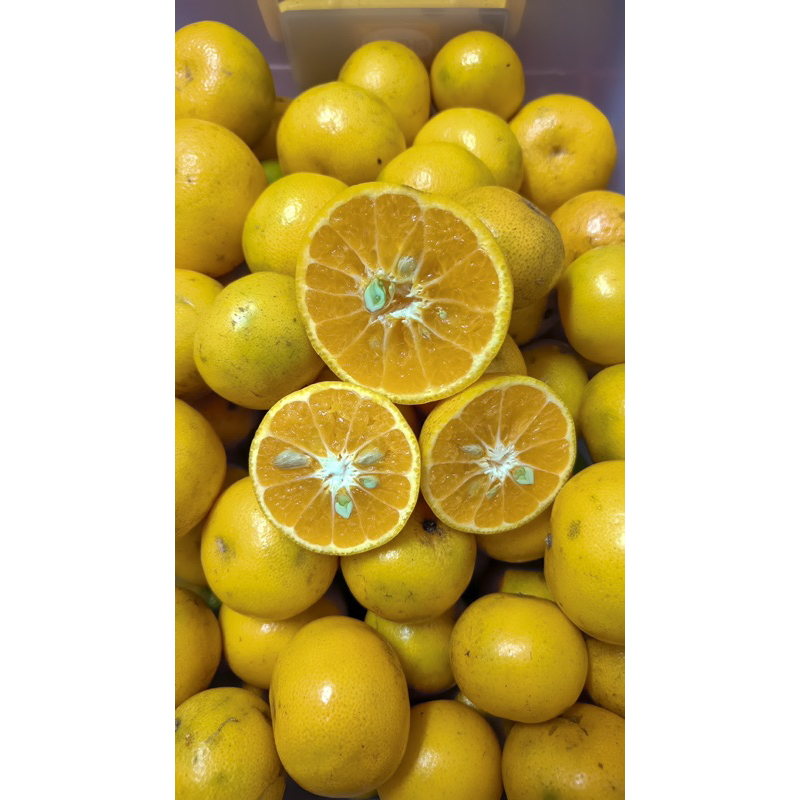 Jual JERUK PERAS 1kg | Shopee Indonesia