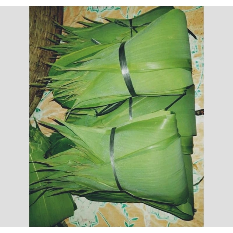 Jual daun bambu muda, 100pcs | Shopee Indonesia