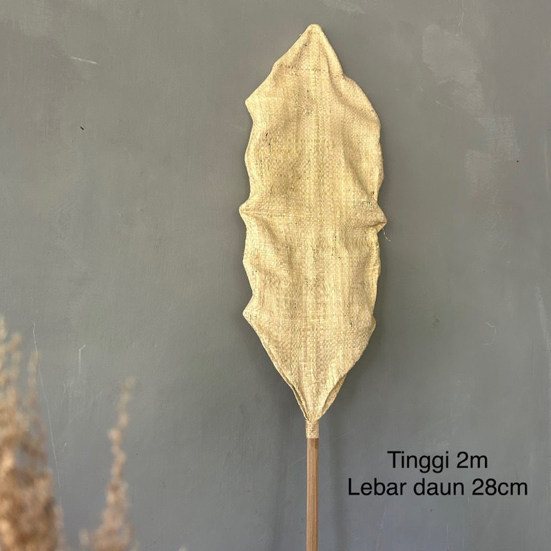 Jual rayung kering stik / rayung tangkai dekorasi | Shopee Indonesia