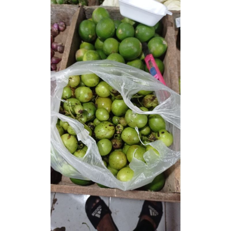 Jual gandaria/jatake 1kg | Shopee Indonesia