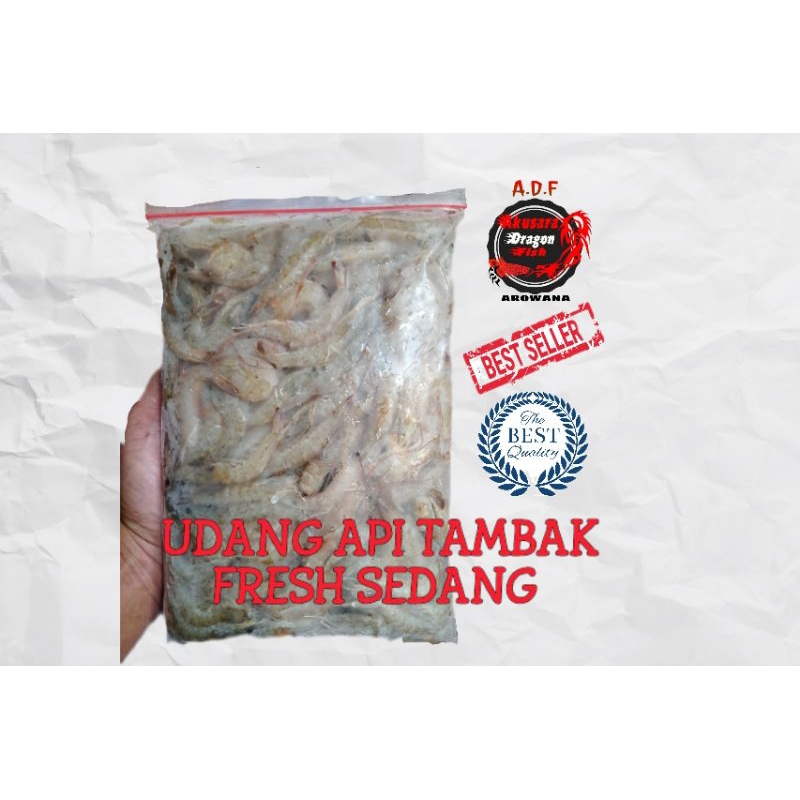 Jual Udang Fresh/ Udang Api Beku isi 500gram/ Pakan Ikan Arowana ...