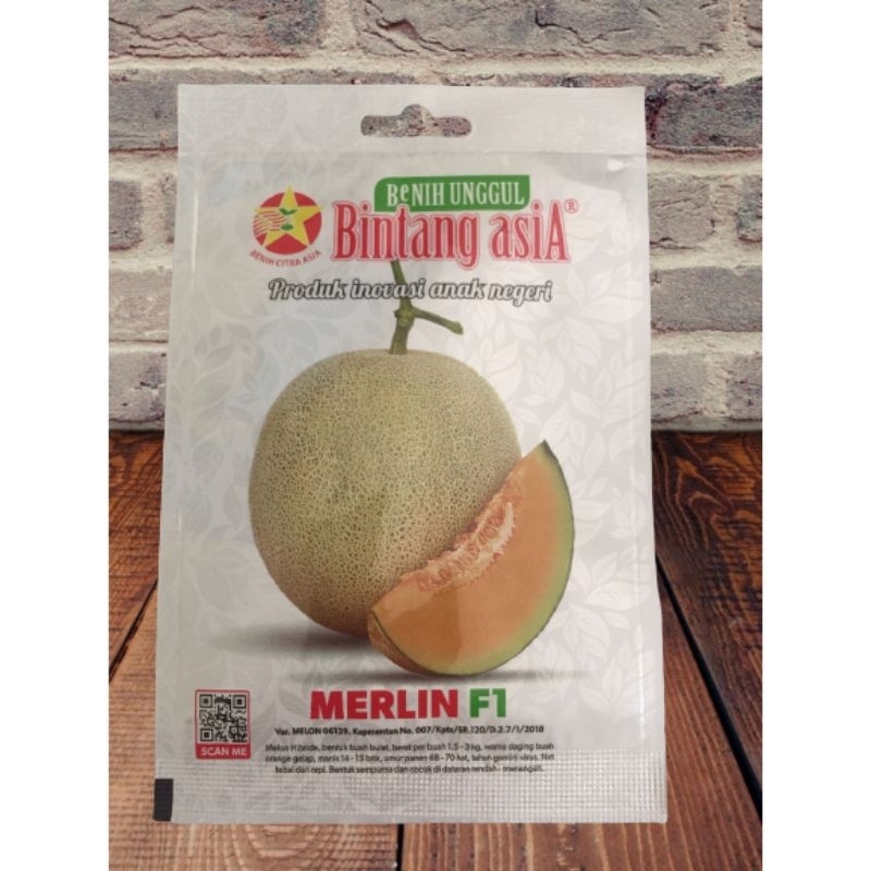 Jual Benih melon hibrida merlin f1 daging kuning Bintang Asia | Shopee ...