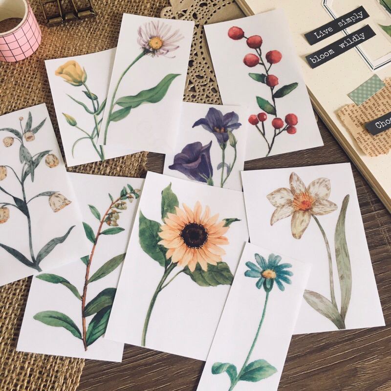 Jual Flower Bunga Transparant Sticker Scrapbook Journal Stiker by ...