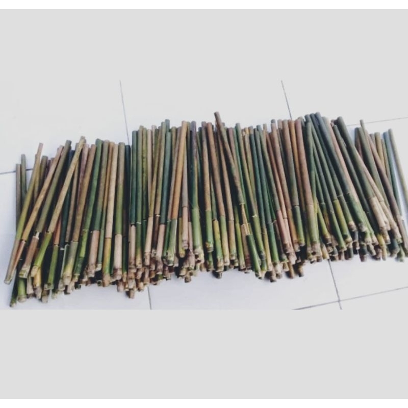 Jual pletokan mainan tradisional | Shopee Indonesia