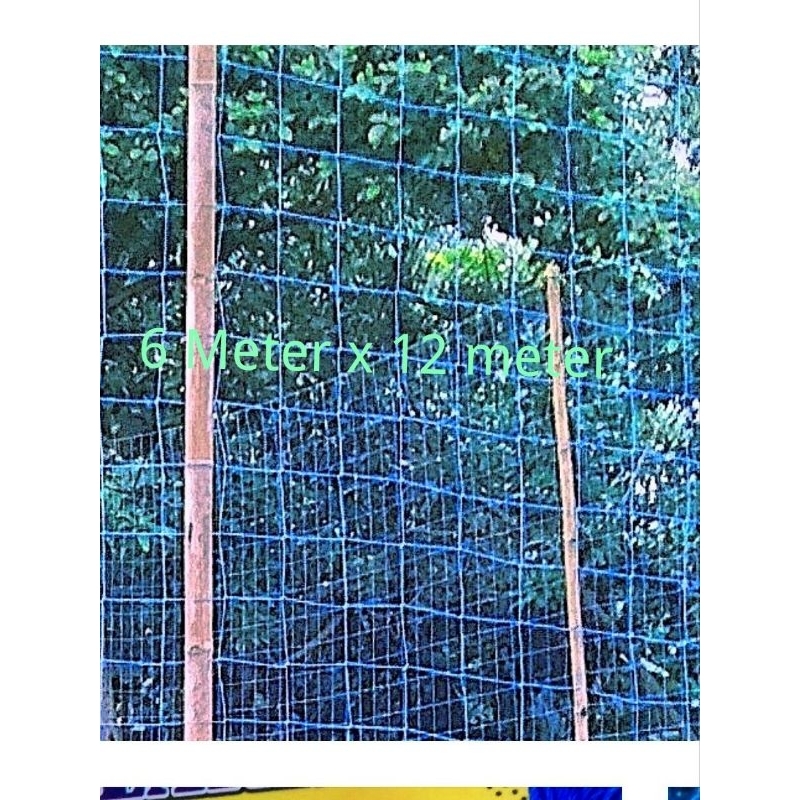 Jual 6 x 12 Jaring Lapang Volley 6m x12m Jaring Lapangan voli Jaring ...