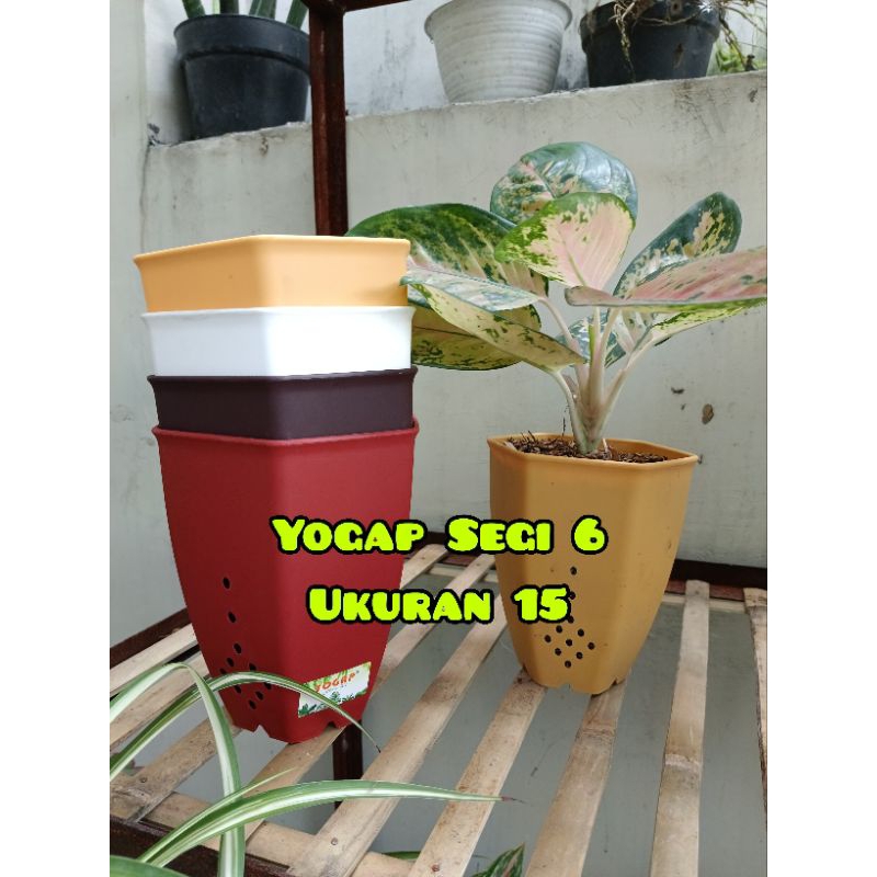 Jual Pot Plastik YOGAP SEGI 6 ukuran 15 - Pot bunga/tanaman hias ...