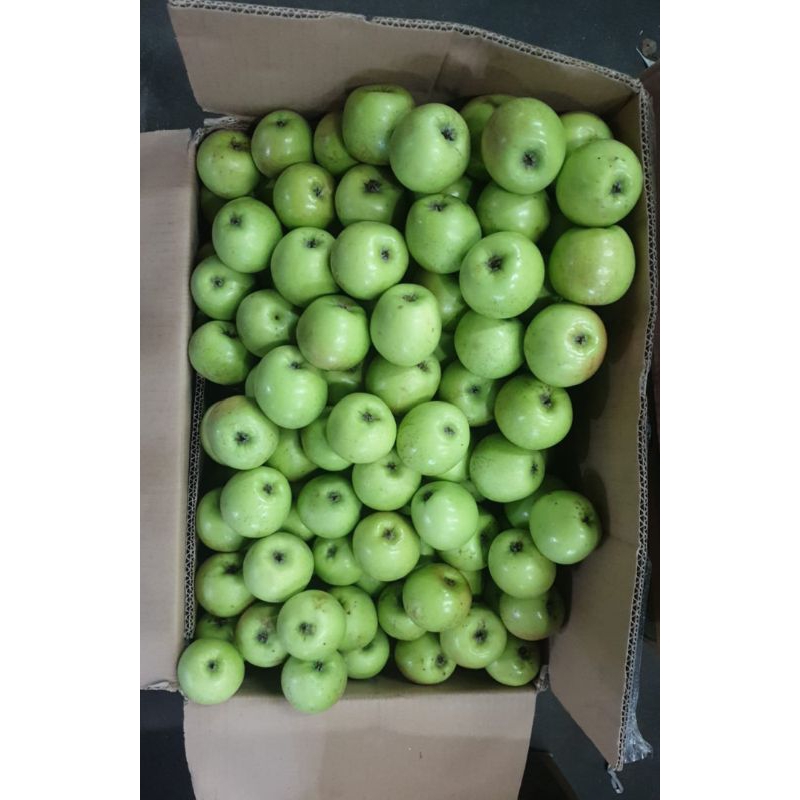 Jual Apel Malang Manalagi Asli.. | Shopee Indonesia