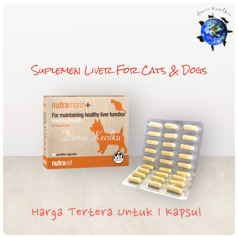 Jual Nutramarin Plus Liver Suplemen Gangguan Hati / Hepatic / Hepato ...
