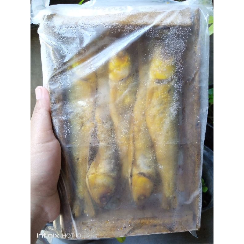 Jual bandeng presto frozen | Shopee Indonesia
