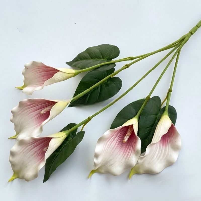 Jual Bunga Calla Lily LATEX Premium | Shopee Indonesia
