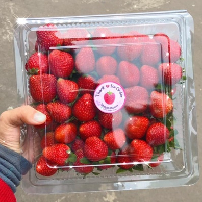 Jual Stroberi Fresh Grade AB 1 kg asli bandung || Stobeli Maniss ...