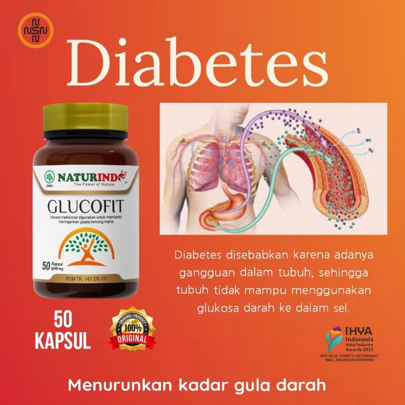 Jual Obat diabetes melitus menurunkan kadar glukosa tinggi | Shopee ...
