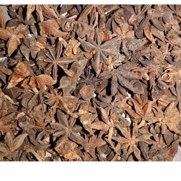 Jual BUNGA LAWANG ASLI/PEKA ORIGINAL/Bunga lawang (Illicium verum ...