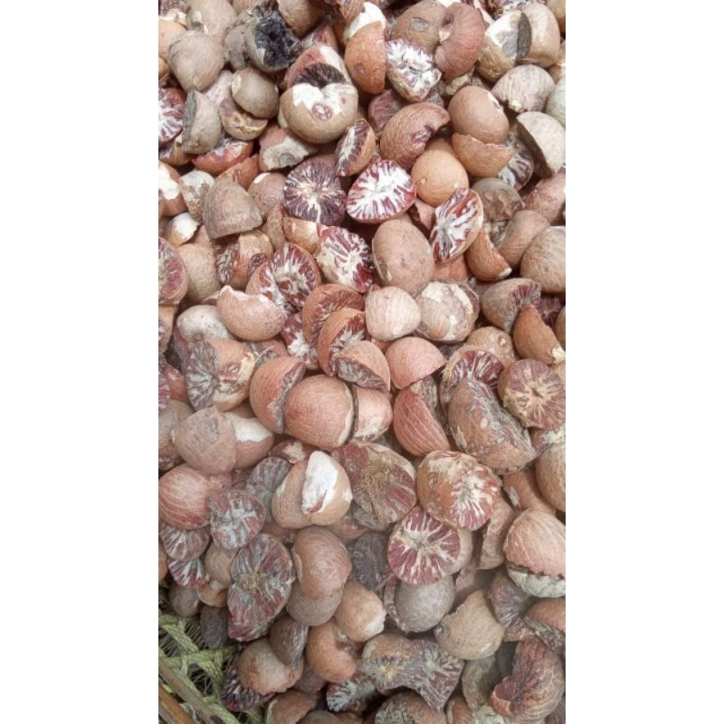 Jual Pinang kering 1 kg | Shopee Indonesia