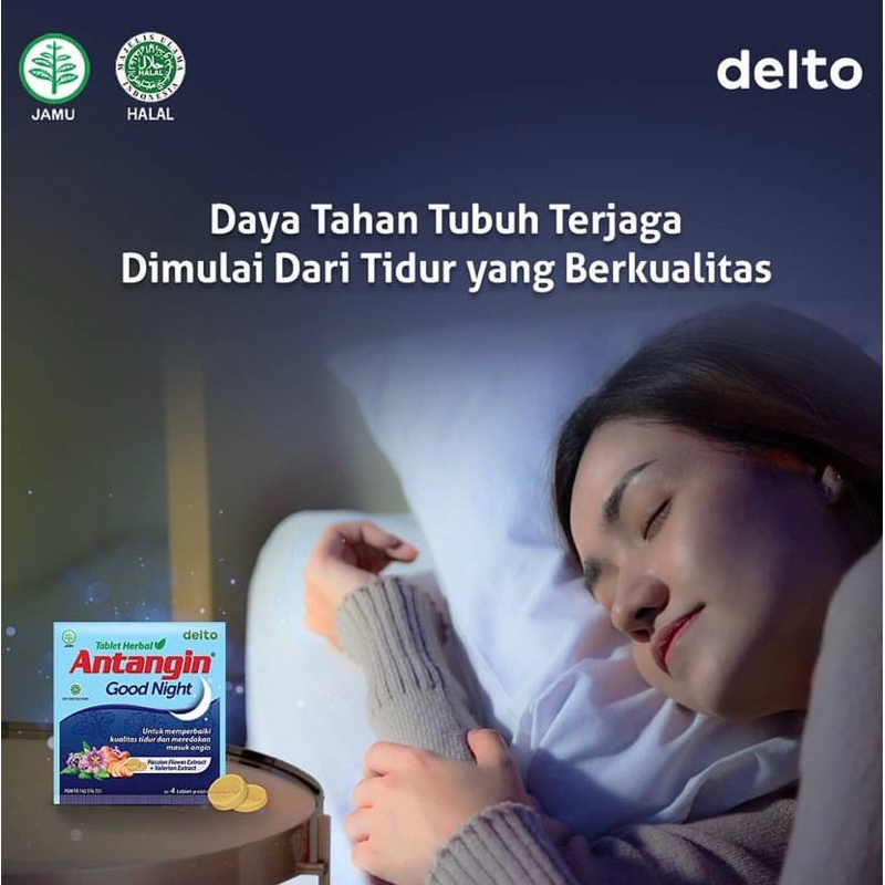 Jual Antangin Good Night Tablet Herbal - Meringankan Gangguan Sulit ...