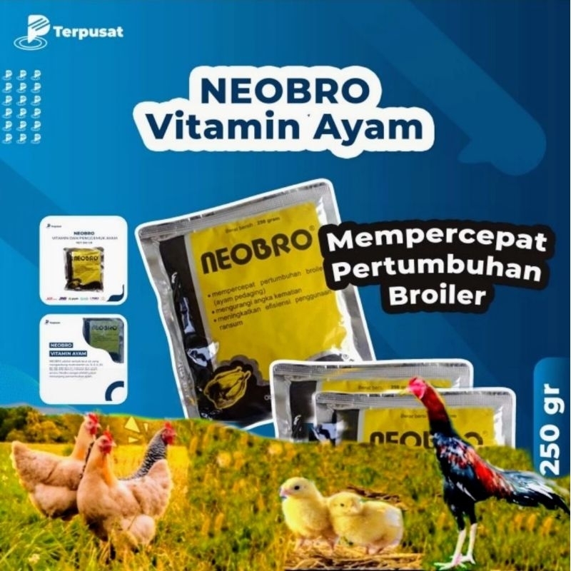 Jual NEOBRO @250 gram Mempercepat Pertumbuhan Ayam Broiler Obat Ayam ...