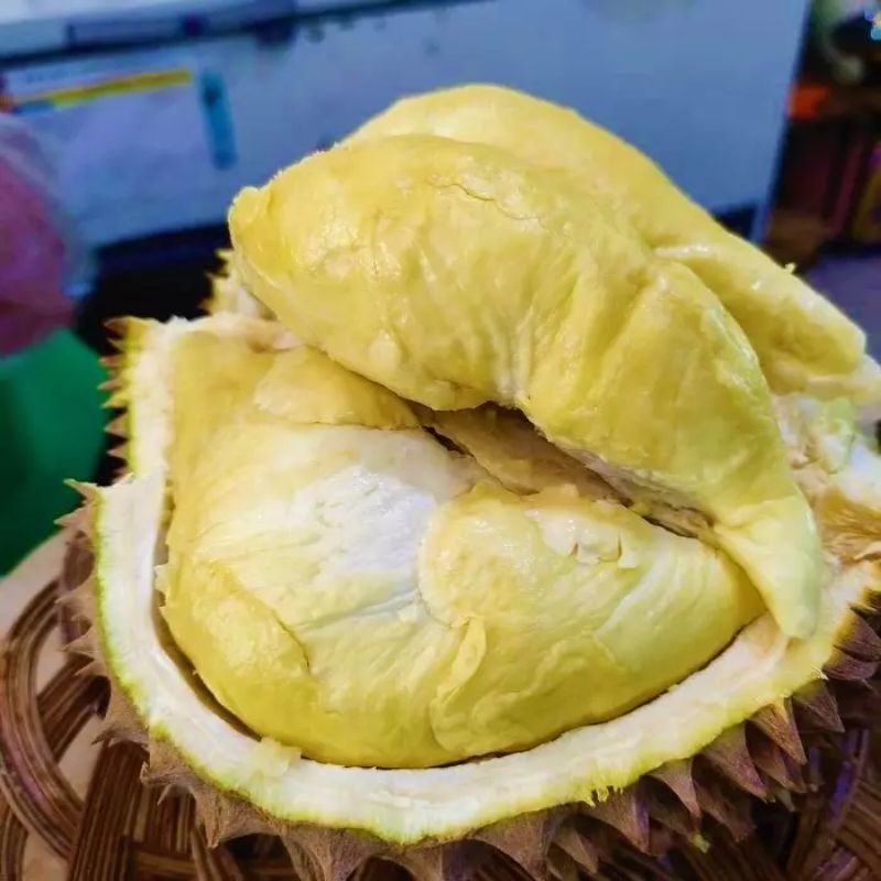 Jual Durian Duren montong palu kupas fresh New | Shopee Indonesia