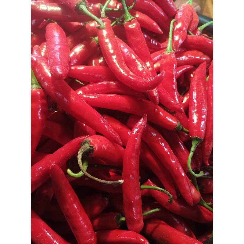 Jual Cabe merah besar segar bandung | Shopee Indonesia