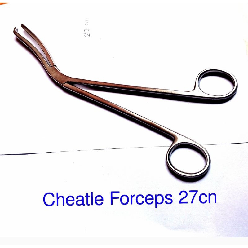 Jual Cheatle sterilizing Forceps 27 cm /klem korentang bengkok 27 cm ...