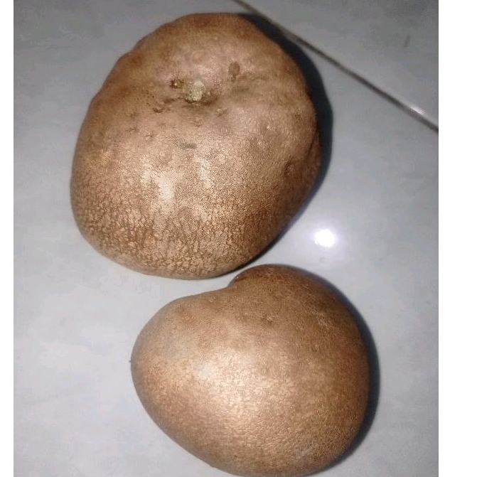 Jual kentang gantung kentang udara per 1000gram | Shopee Indonesia