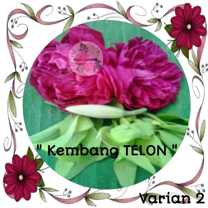 Jual KEMBANG SEGAR DAN WANGI TELON / 3 RUPA | Shopee Indonesia