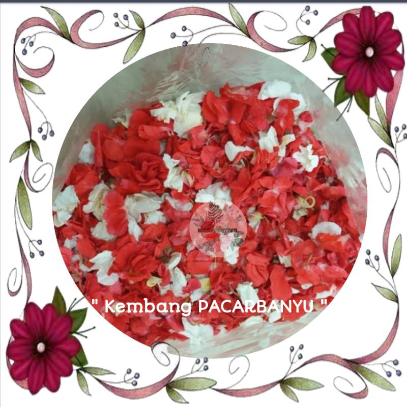 Jual BUNGA SEGAR DAN WANGI PACAR AIR MERAH 500GRAM | Shopee Indonesia