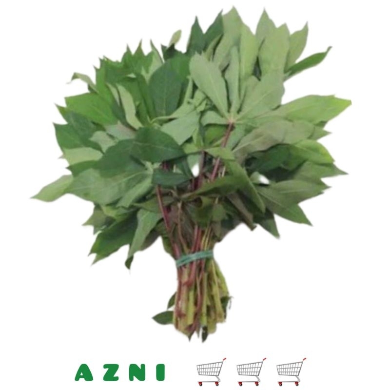 Jual Pucuk Ubi / Daun Singkong Per Ikat | Shopee Indonesia