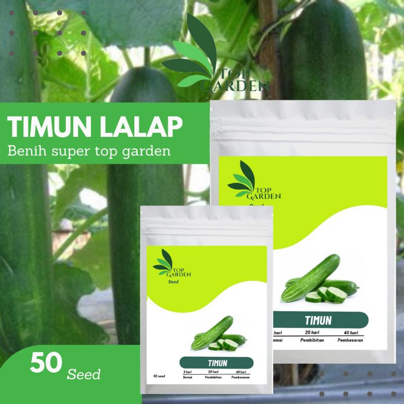 Jual TOP GARDEN BENIH SUPER SAYURAN TIMUN LALAP KUALITAS F1 | Shopee ...