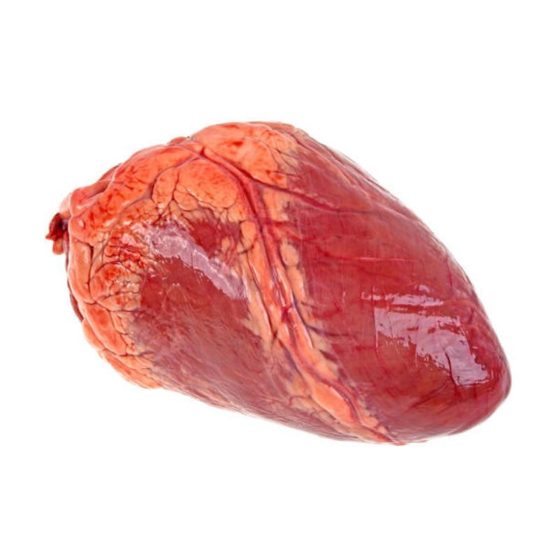 Jual Jantung sapi segar/fresh 1KG/1000gram | Shopee Indonesia