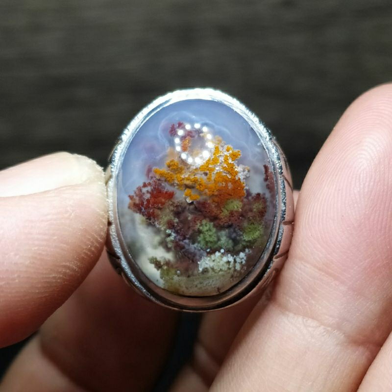 Jual Batu Akik Lumut Trenggalek (Moss Agate) | Shopee Indonesia